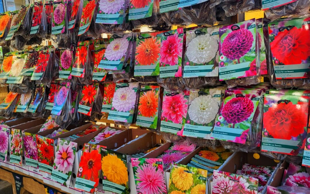 Summer Flowering Bulbs, Seed Potatoes, Onion Sets & Garlic Have Arrived ...