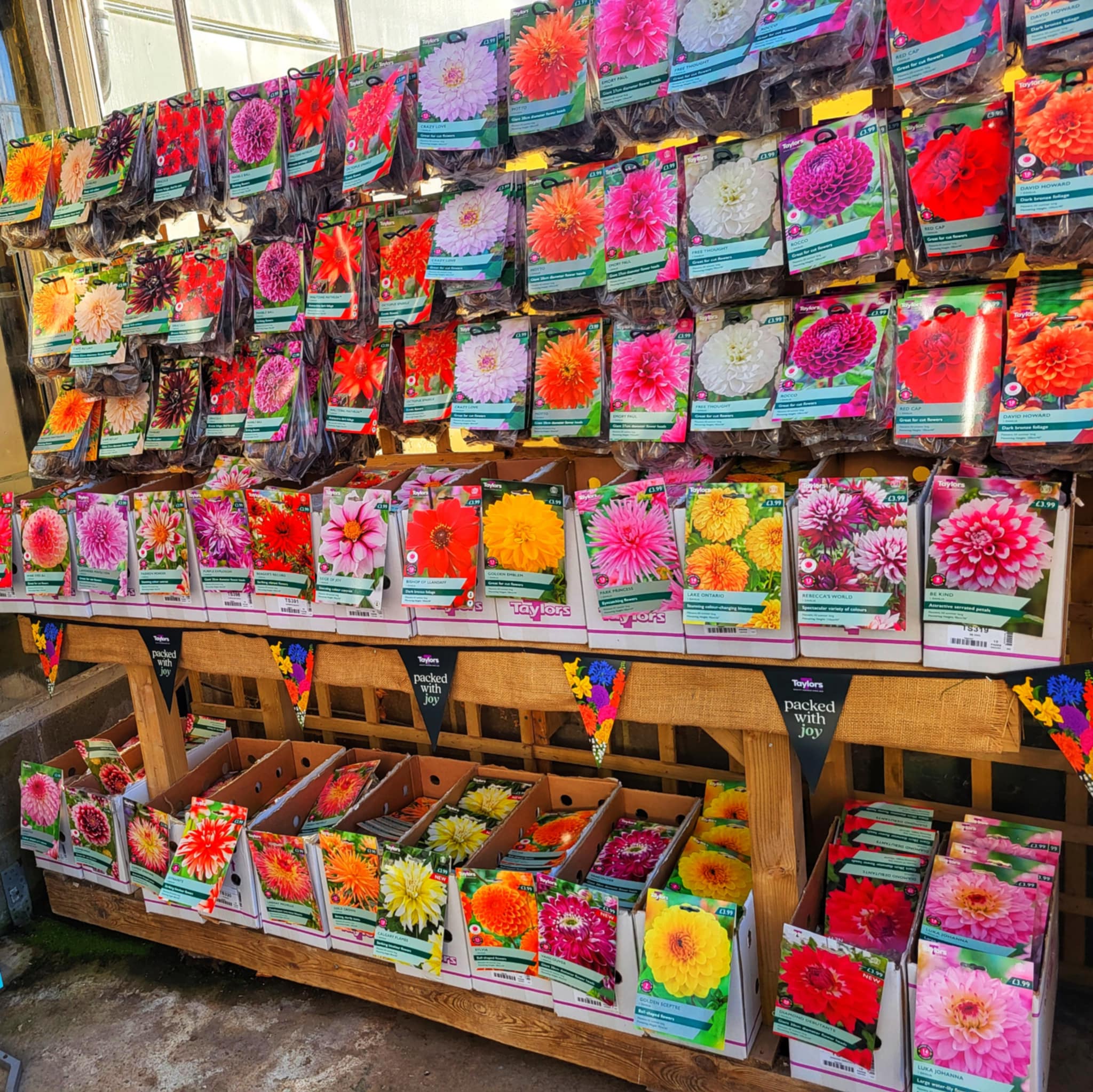 Summer Flowering Bulbs, Seed Potatoes, Onion Sets & Garlic Have Arrived ...