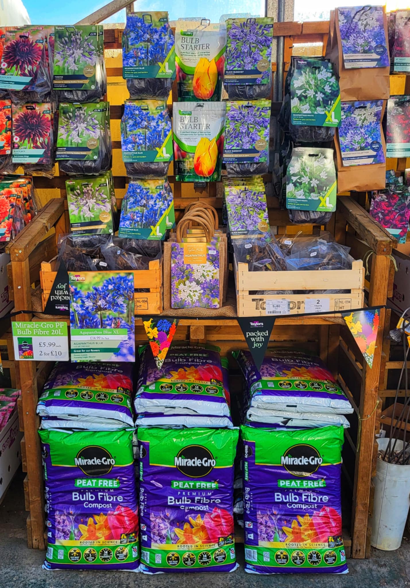 Summer Flowering Bulbs, Seed Potatoes, Onion Sets & Garlic Have Arrived ...